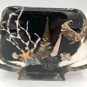 Lucite Paperweight, Sea Life, Crab and Shells - Etsy