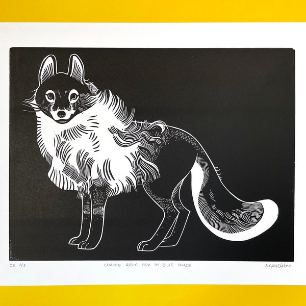 Arctic Fox Tail - Etsy