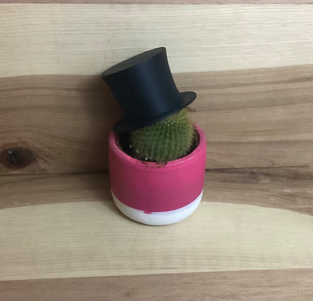 Tiny Plant Top Hat - Plant Accessory - Plant Topper - Modern Plant ...