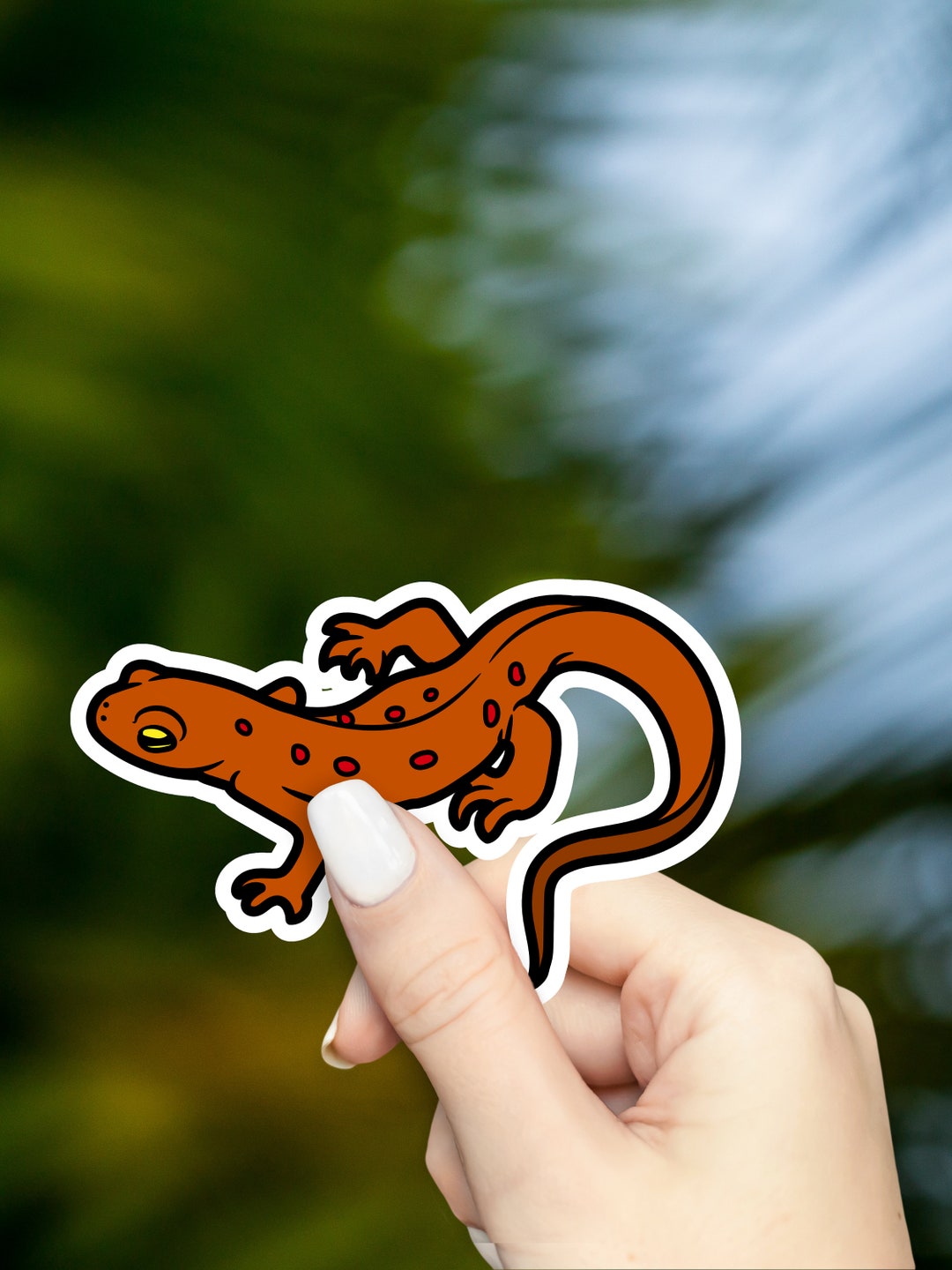 Adorable Eastern Newt Sticker - Perfect for Nature Lovers, Waterproof ...