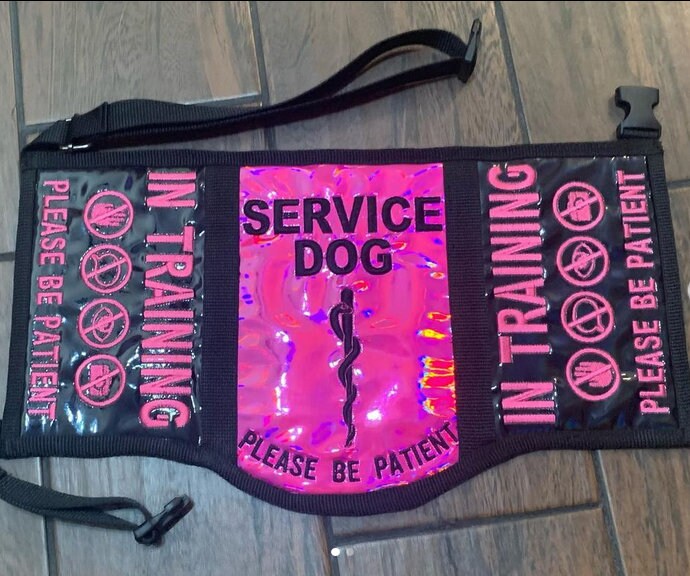 Custom Embroidered Vinyl Vest - Etsy