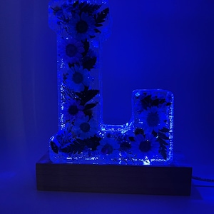 Floral Resin Letter Lamp: Personalized LED Night Light - Etsy