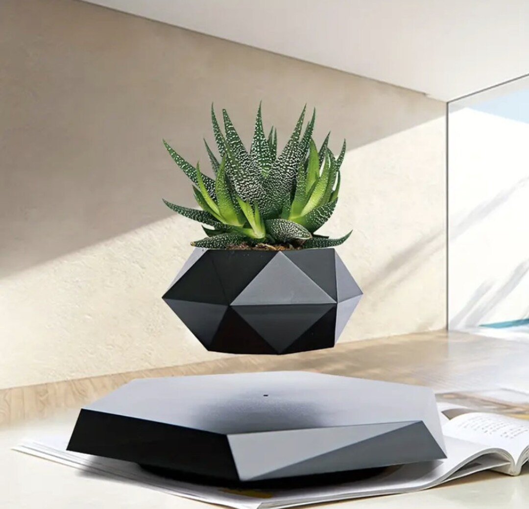 Modern Levitating Plant for Desk and Home Decorations - Etsy