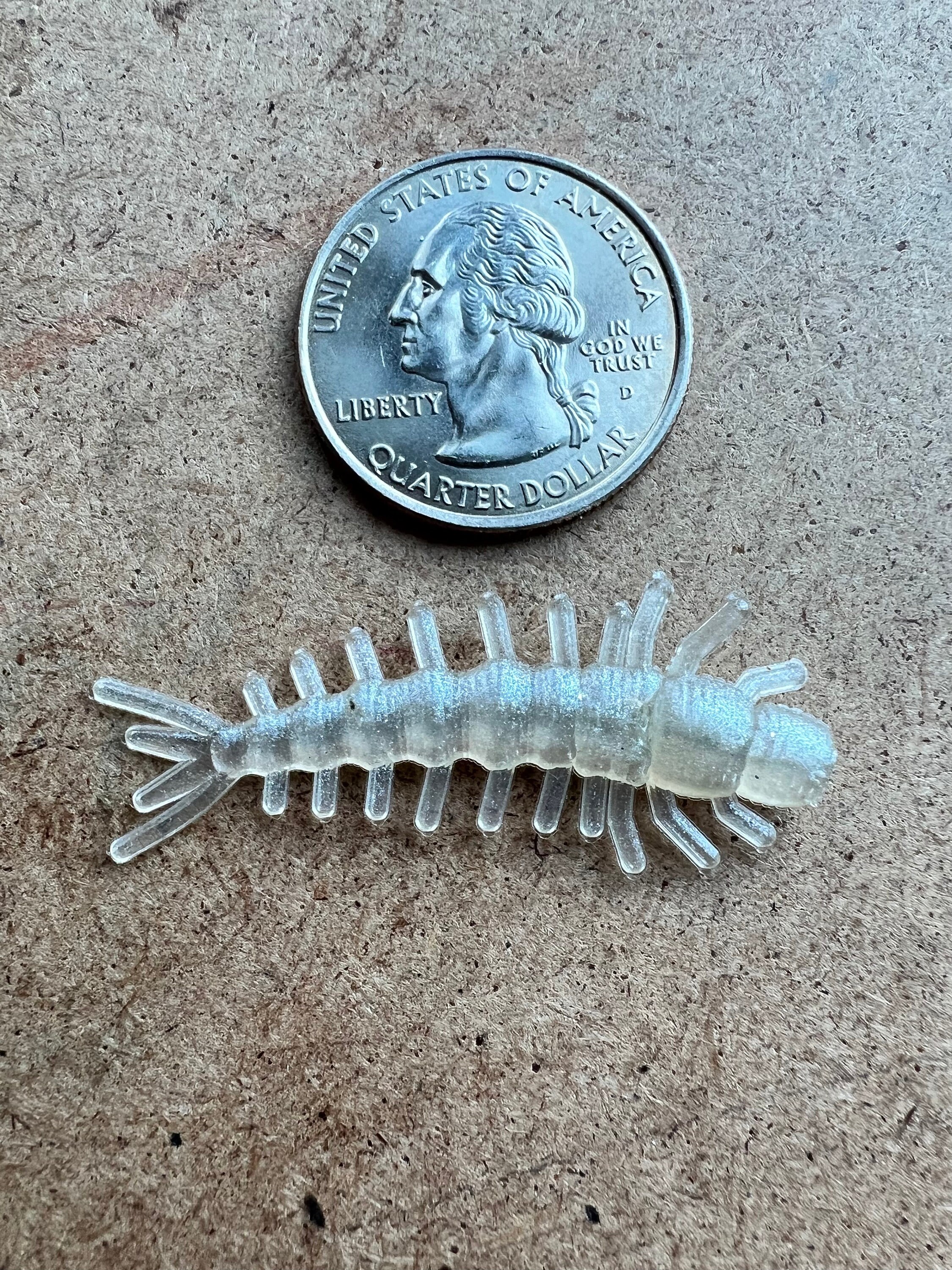 1.75 Inch Hellgrammite, 10 per Package - Etsy