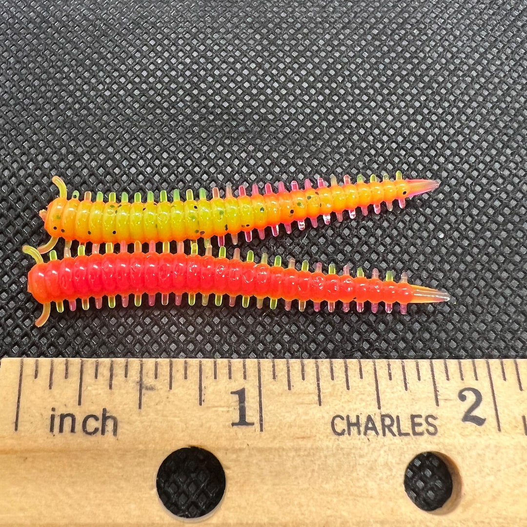 Sandworm 2", 20 per Package - Etsy