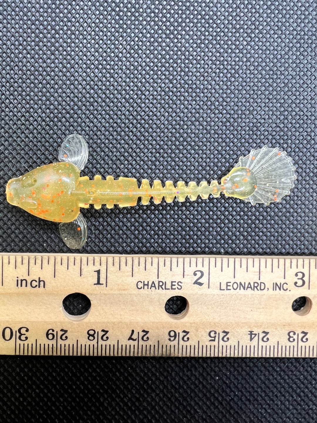 3" Goby, Sold 3 per Package - Etsy
