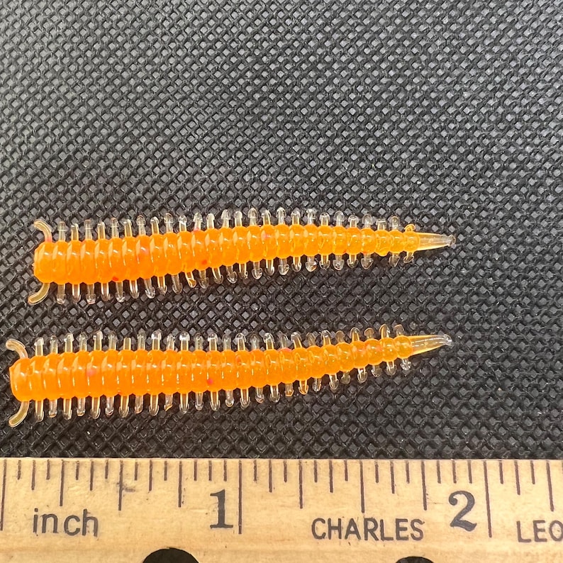 Sandworm 2", 20 per Package - Etsy