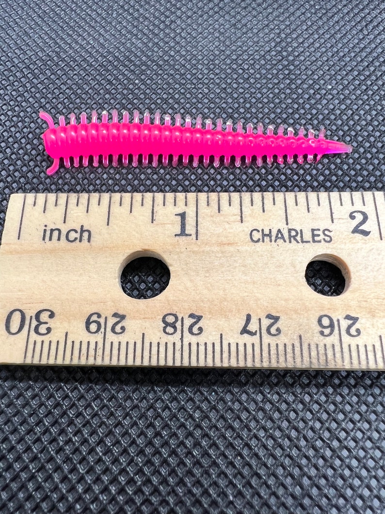 Sandworm 2", 20 per Package - Etsy