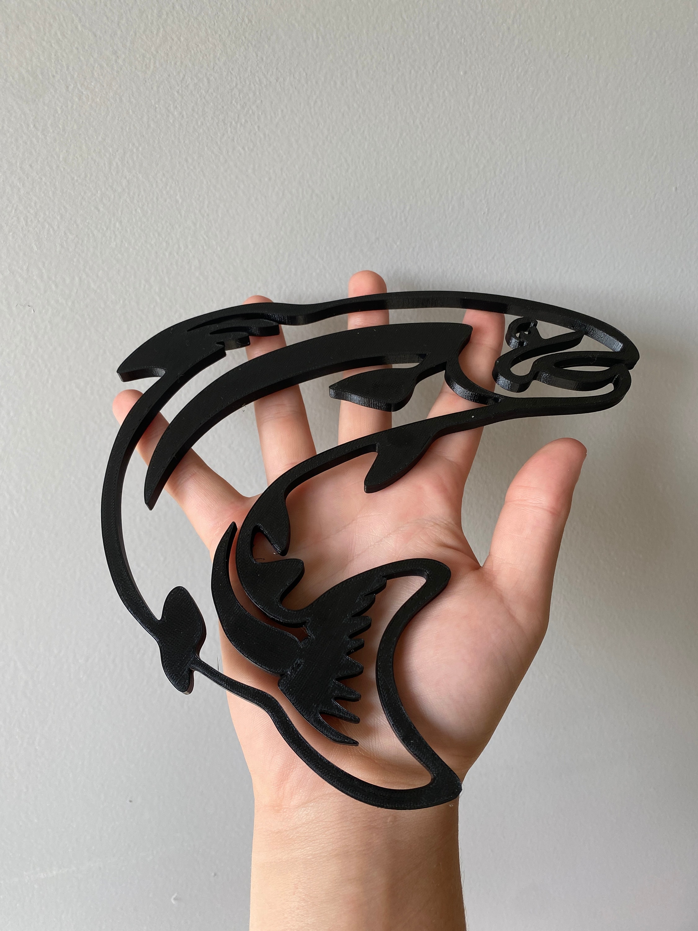 3D Printed Trout Wall Art - Etsy