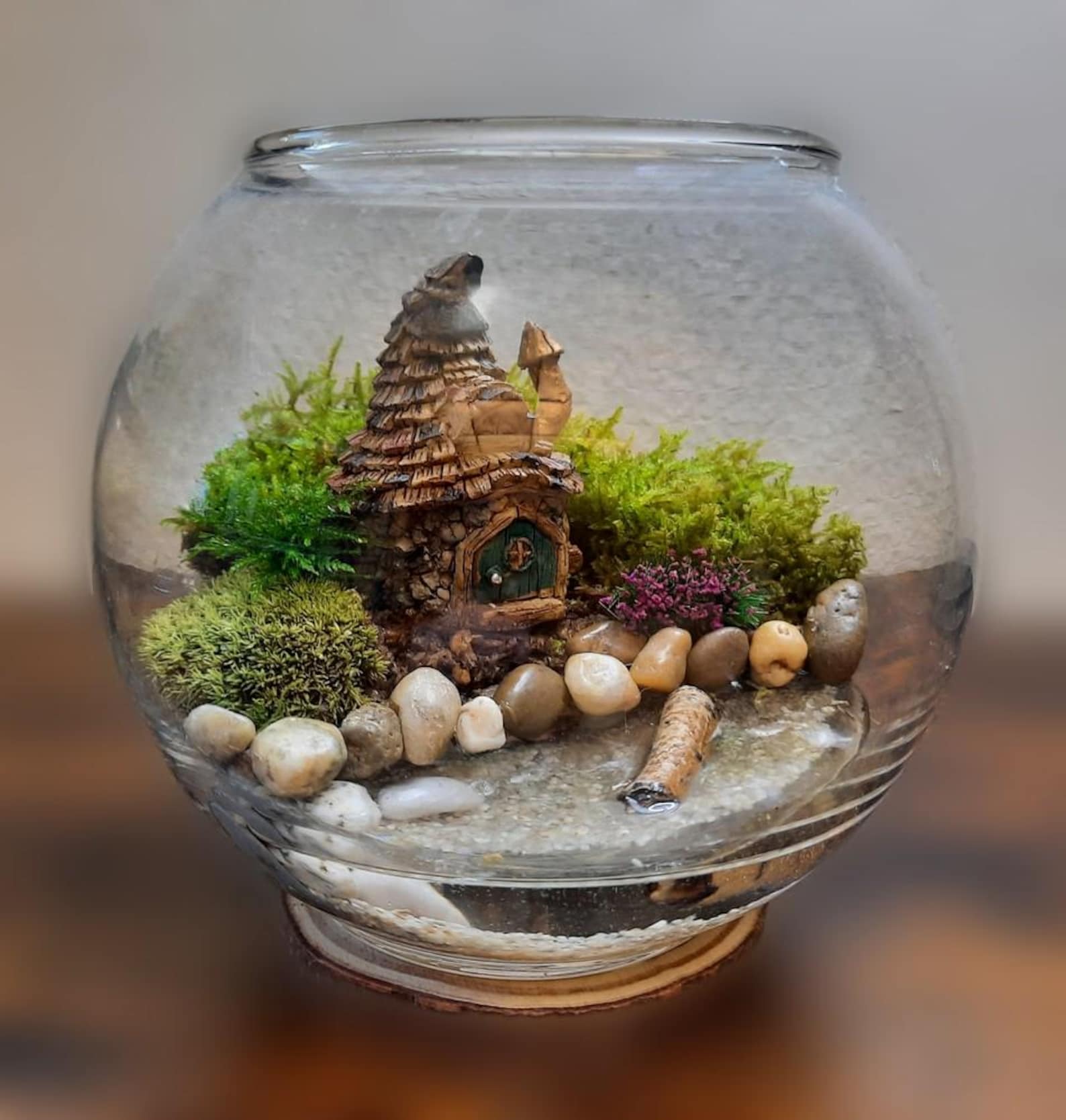 Fairy Garden Elf or Hobbit House Waterscape Terrarium Kit for Live Moss ...