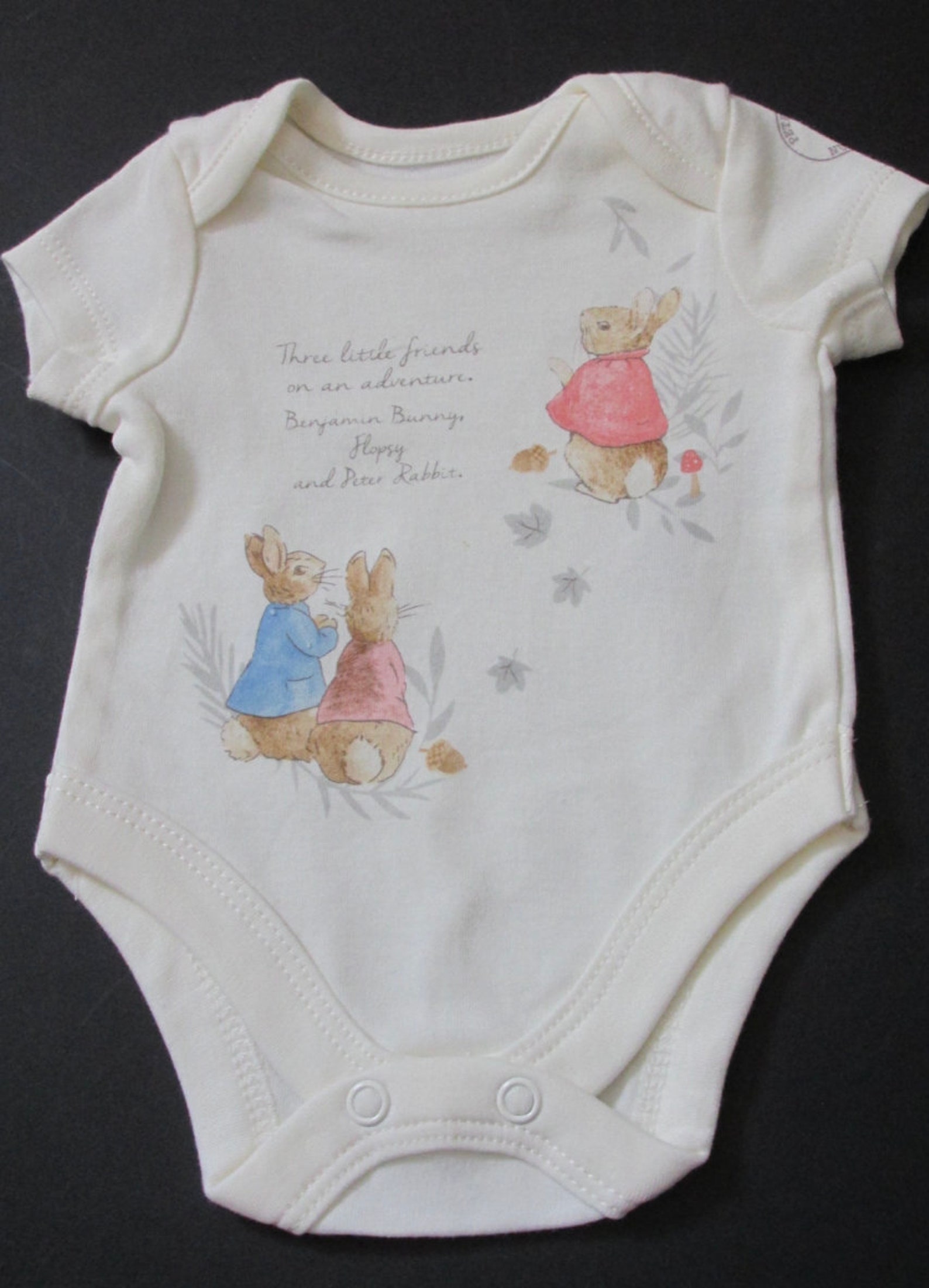 Peter Rabbit Sleepsuit Boys Girls 4 Piece Starter Set Beatrix - Etsy