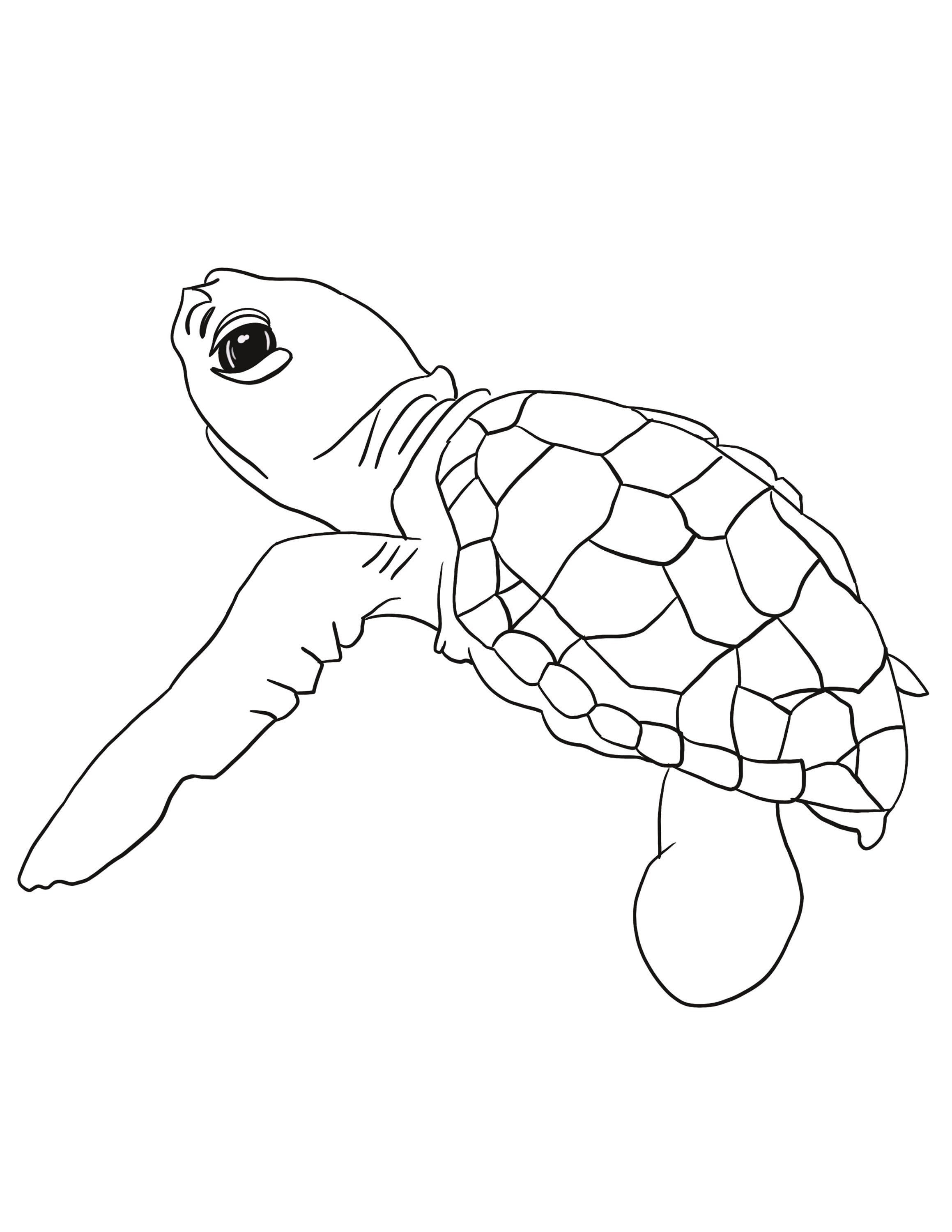 Kids Animal Colouring Pages - Etsy