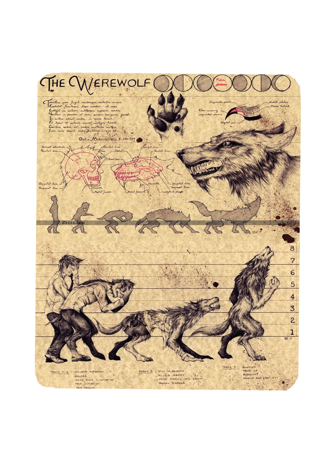Werewolf Transformation Mouse Pad Handmade Gift Halloween - Etsy