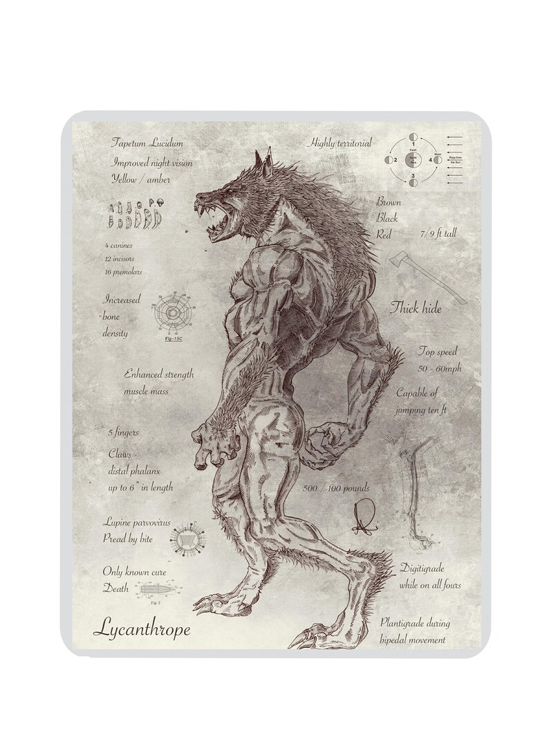 Werewolf Transformation Mouse Pad Handmade Gift Halloween - Etsy