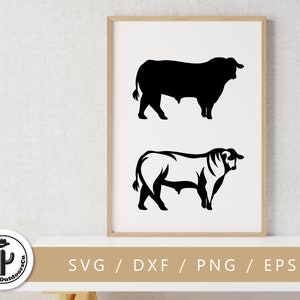 Set of 2 Versions of Angus Cows Svg Png Cut File Black Angus, Red Angus ...