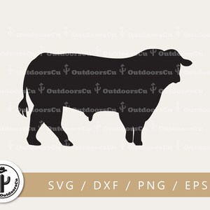 Set of 2 Versions of Angus Cows Svg Png Cut File Black Angus, Red Angus ...