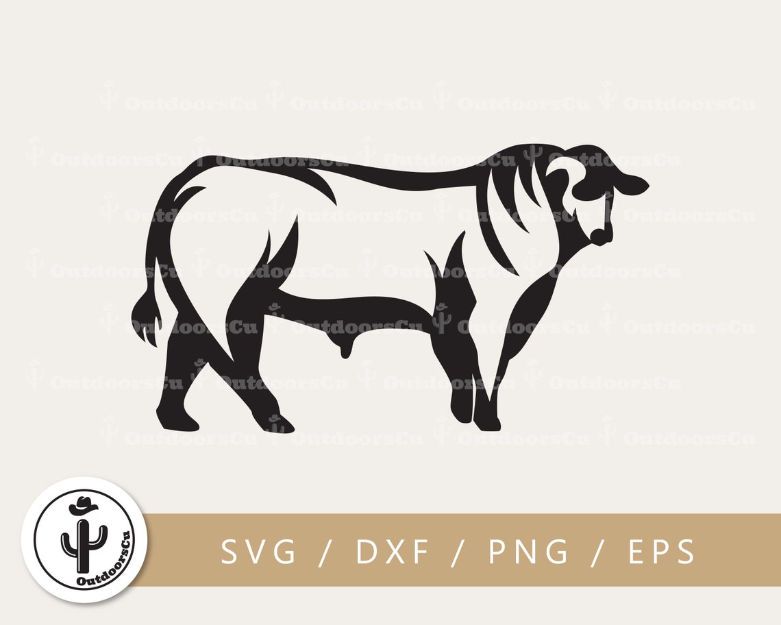 Set of 2 Versions of Angus Cows Svg Png Cut File Black Angus, Red Angus ...