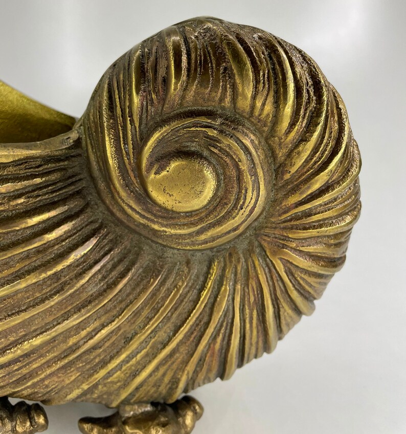 Nautilus Shell Planter Cachepot With Shell Feet Details Sea - Etsy