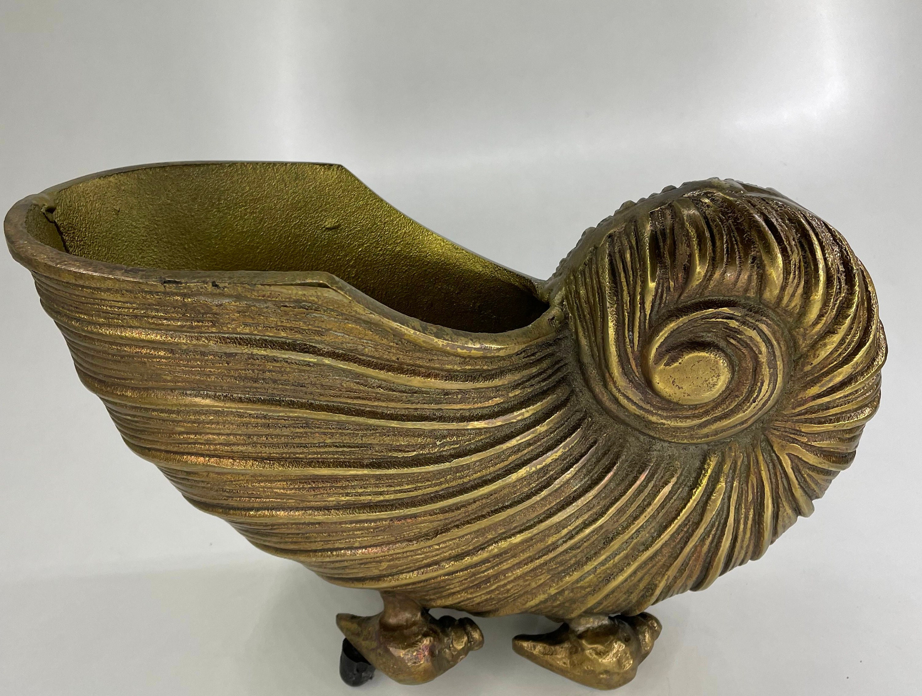 Nautilus Shell Planter Cachepot With Shell Feet Details Sea - Etsy