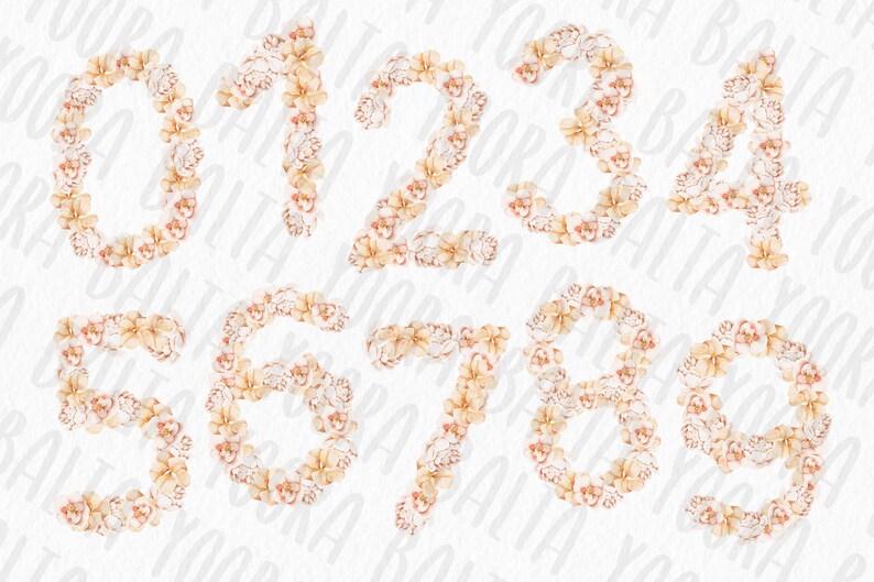 0-9 Peach Watercolor Floral Numbers Blush Beige Peony Flower Numerical ...