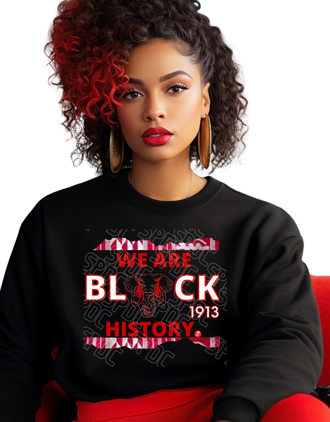 J13 Delta Black History Sweatshirt, Crimson and Cream Soror Gifts ...
