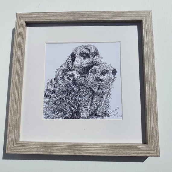 Framed Ink Drawing of a Meerkat print - Etsy