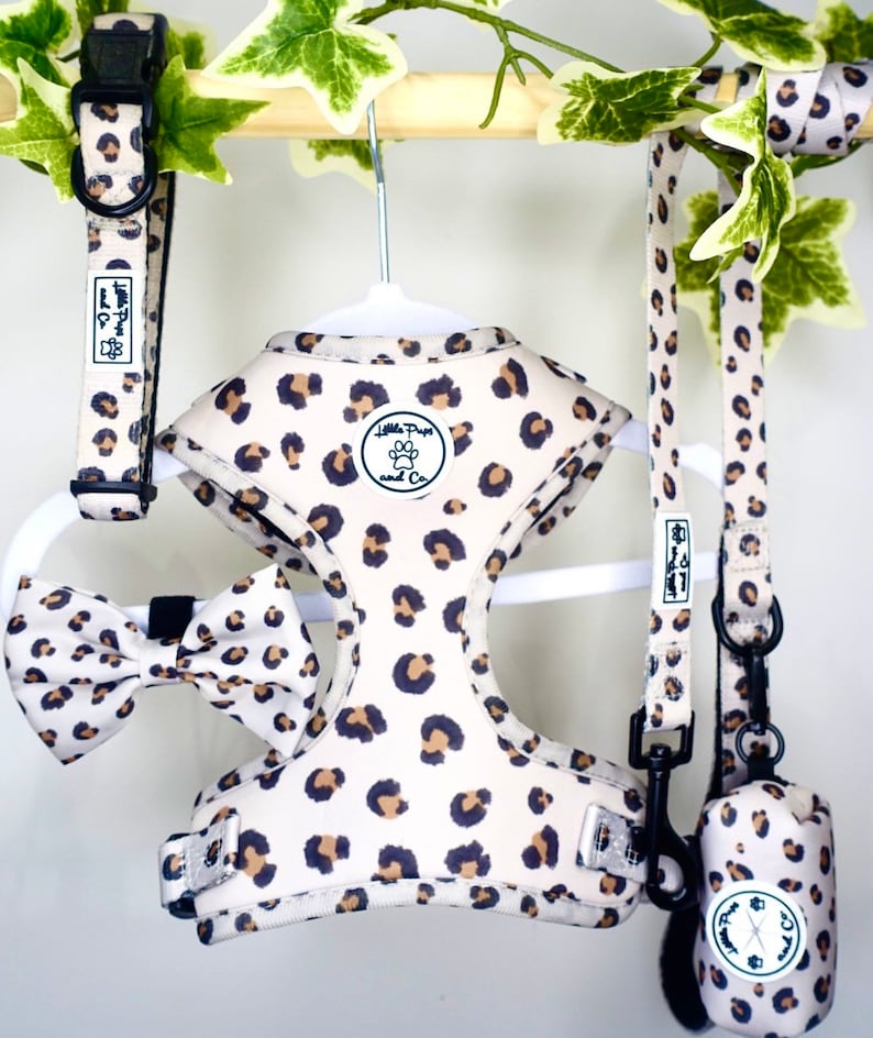 BOGOF Buy 1 Full Set - Get 1 Free! Lovely Leopard Dog Harness Set ...