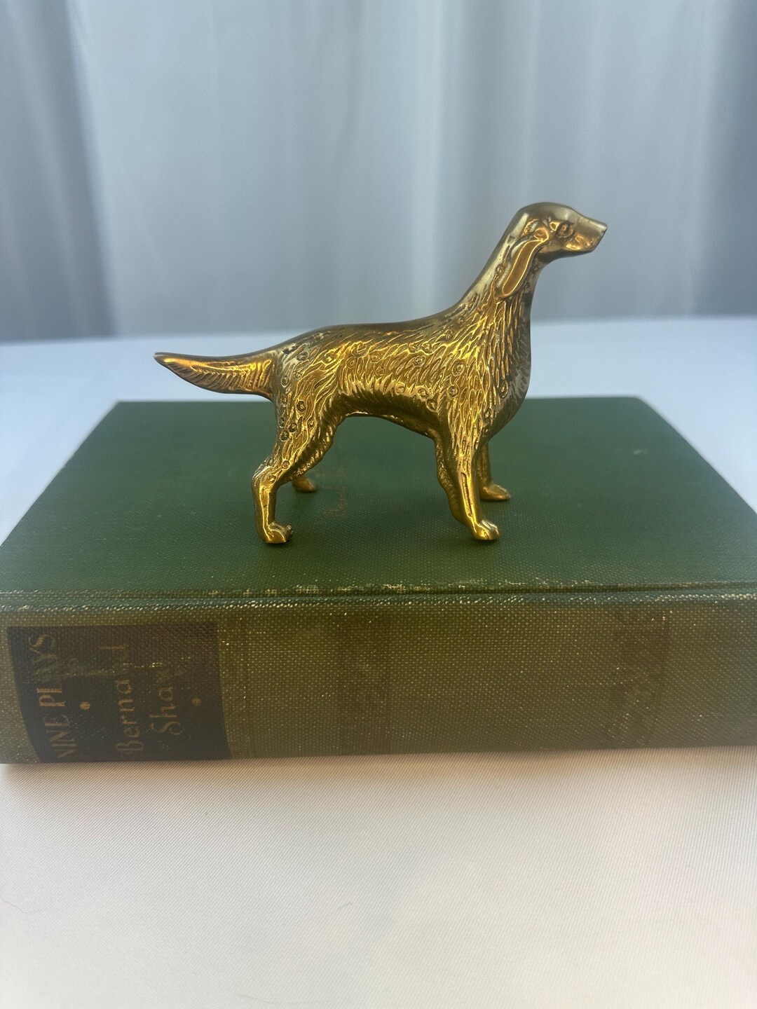 Vintage Solid Brass Bird Dog/pointer/irish or English Setter Dog ...