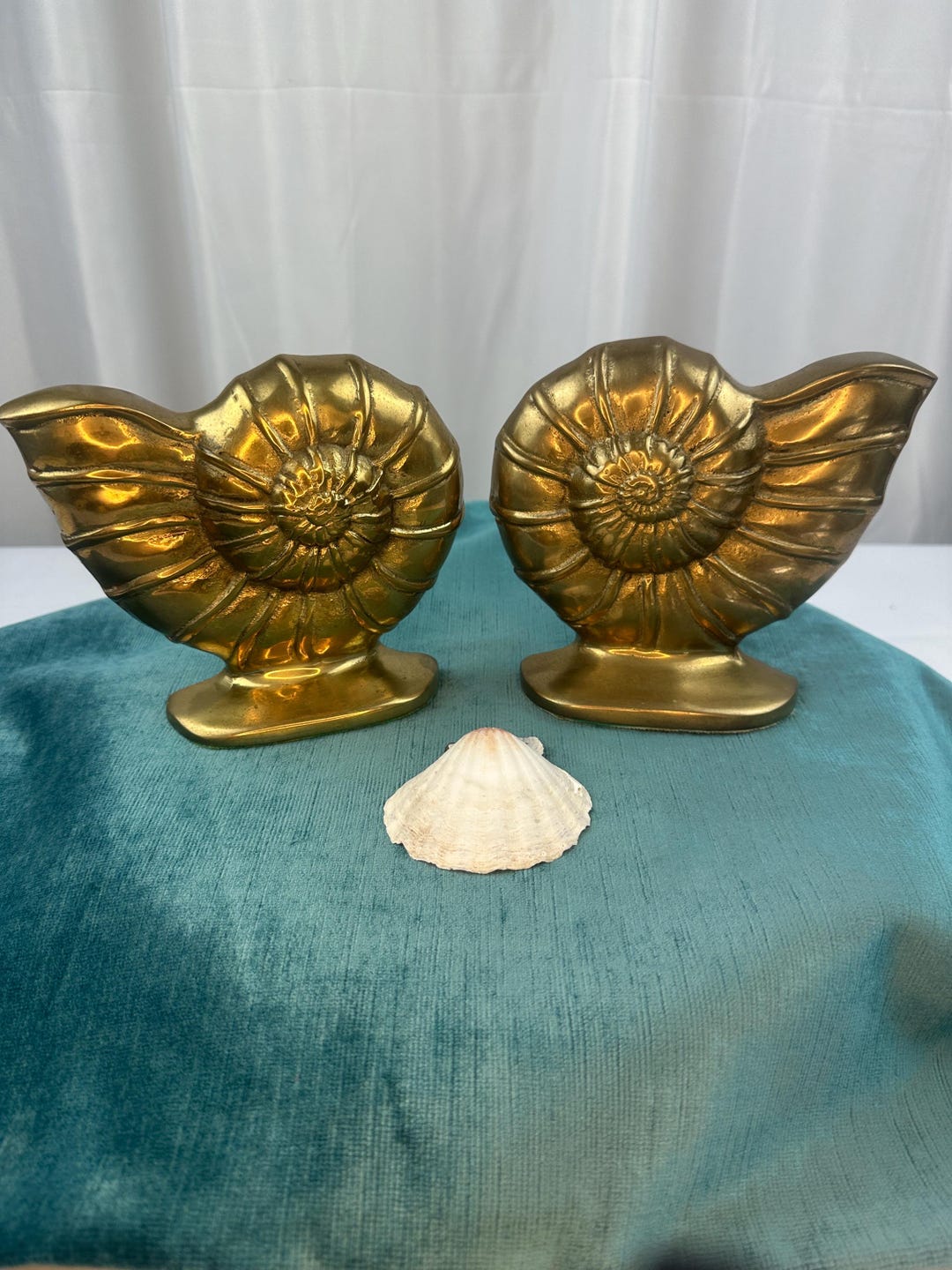 Vintage Brass Nautilus Shell Set of Bookends - Etsy