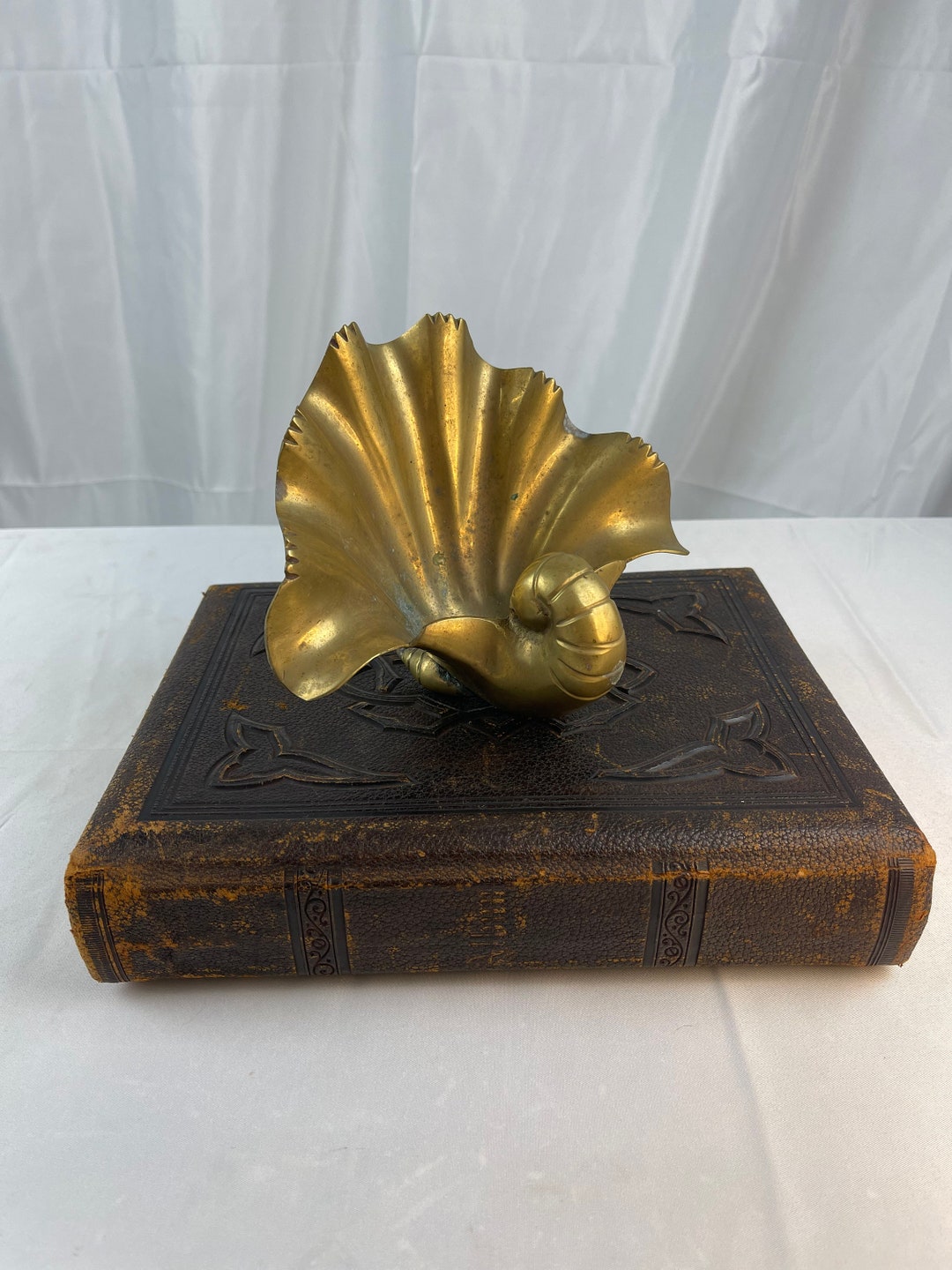 Vintage Solid Brass Nautical Shell Dish/bookend - Etsy