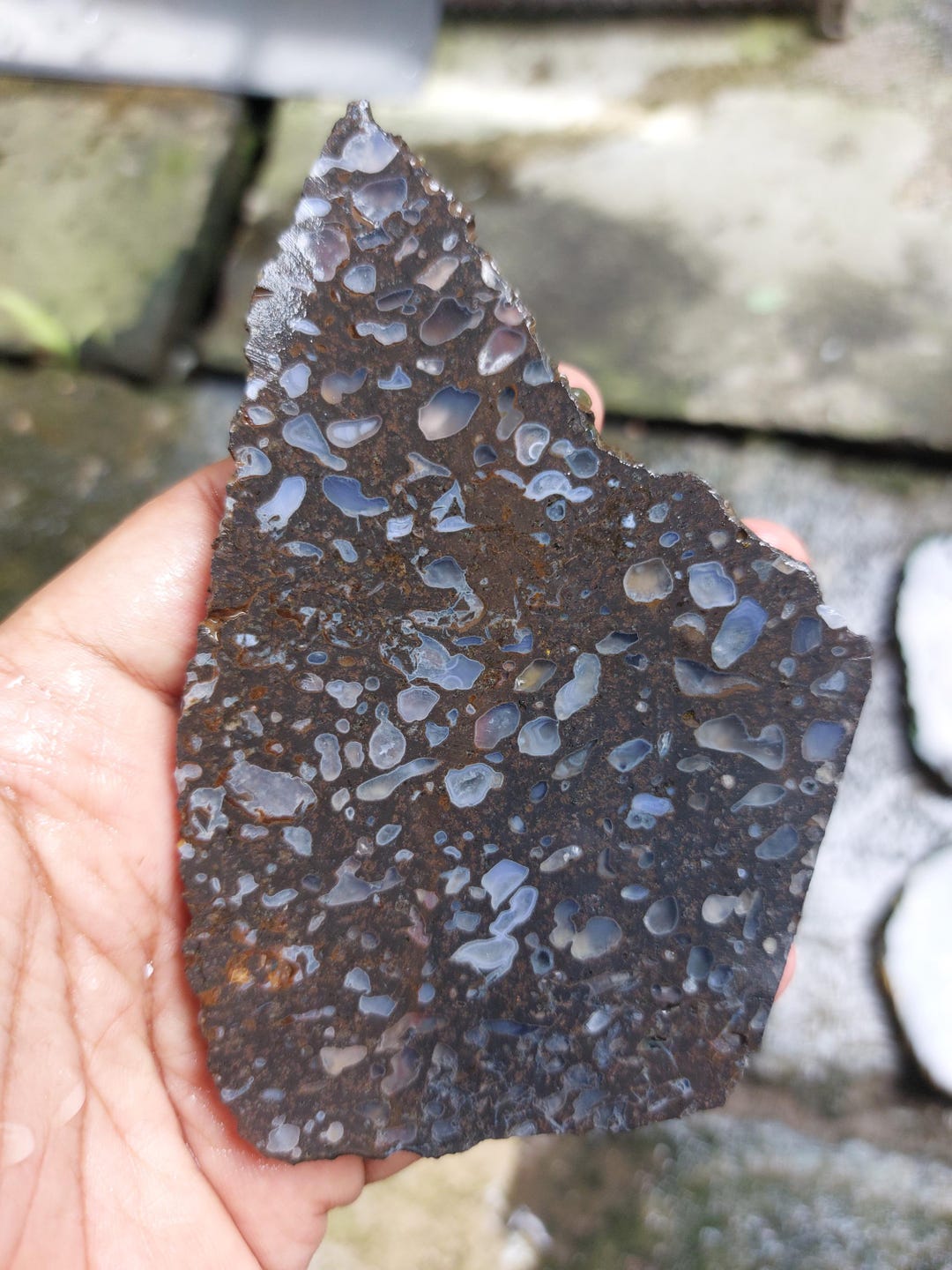 Amigdaloidal Basalt Slab Unpolished 73x115x10 Mm, Photographed Wet - Etsy