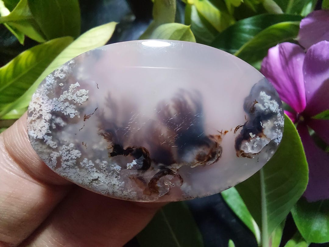 Scenic Moss Dendritic Agate Cabochons Size 25x40x7 Mm , Scenic ...