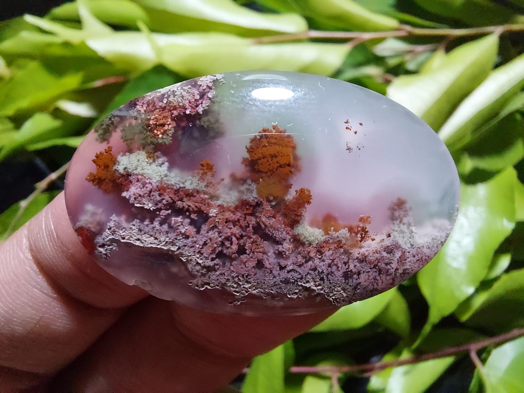 Scenic Moss Plume Agate Java Island Cabochon Size 23x37,5x6,6 Mm - Etsy