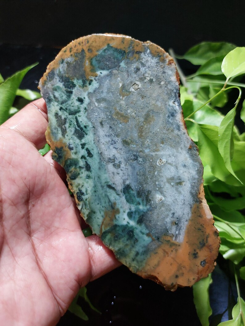 Picture Jasper Slab 68x133x16 Mm, Shown Wet for Color Reference - Etsy
