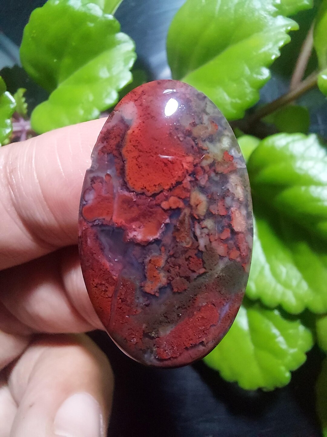 Scenic Java Moss Agate Pendant: Dendritic Landscape Cabochon (19x31x6 ...