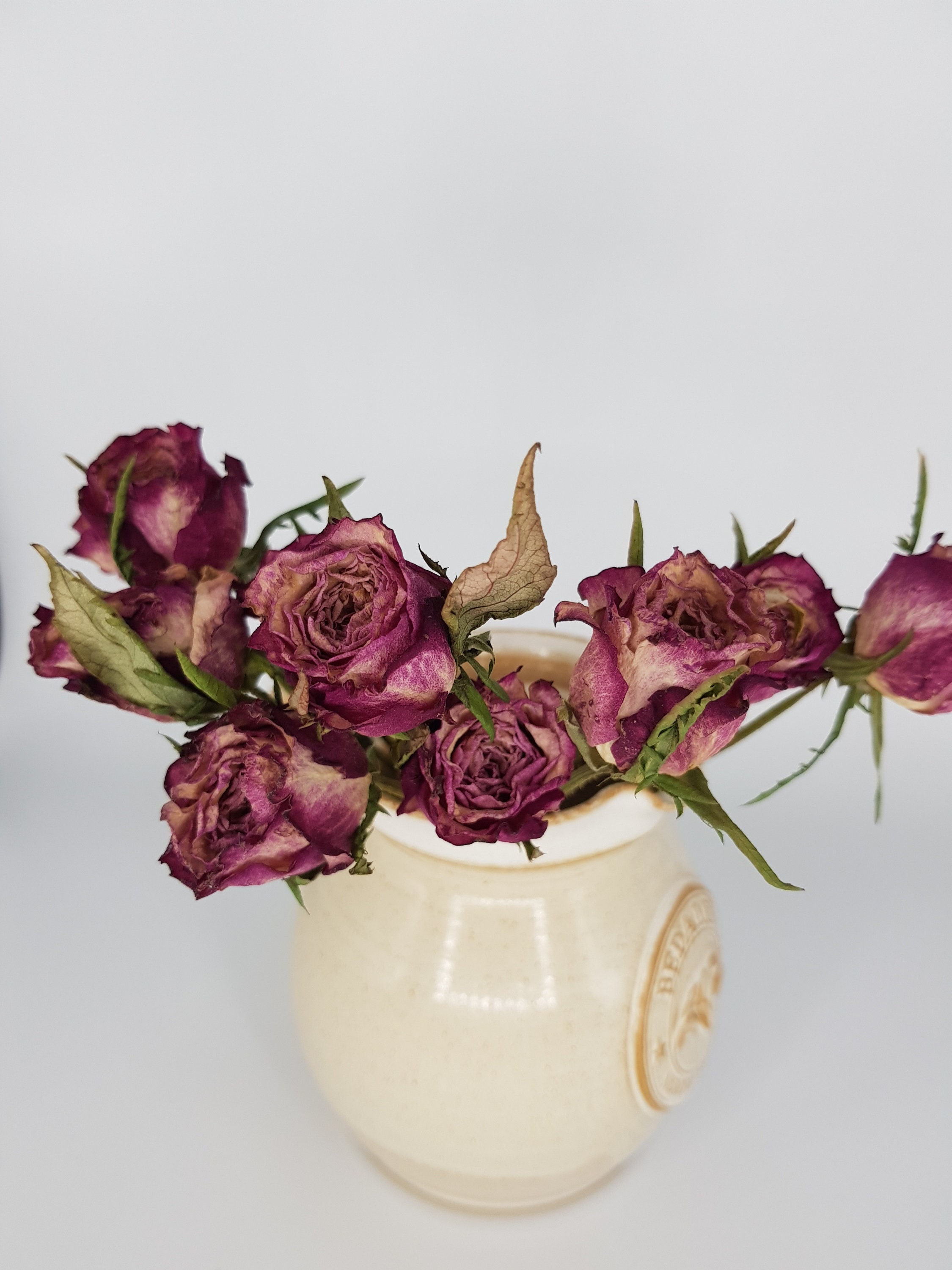 Dozen Dried Roses Dried Rose Bouquet Letterbox Flowers - Etsy UK