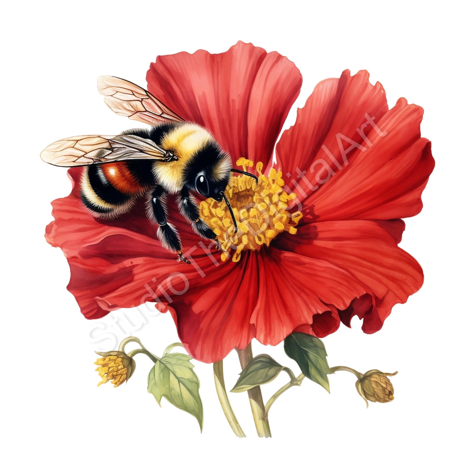 Watercolor Bumble Bee Clipart Spring Garden Bee Clip Art PNG - Etsy