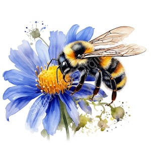 Watercolor Bumble Bee Clipart, Spring Garden Bee Clip Art PNG Graphics ...
