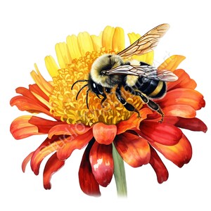 Watercolor Bumble Bee Clipart, Spring Garden Bee Clip Art PNG Graphics ...