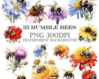 Watercolor Bumble Bee Clipart, Summer Bee Clip Art, PNG Graphics ...
