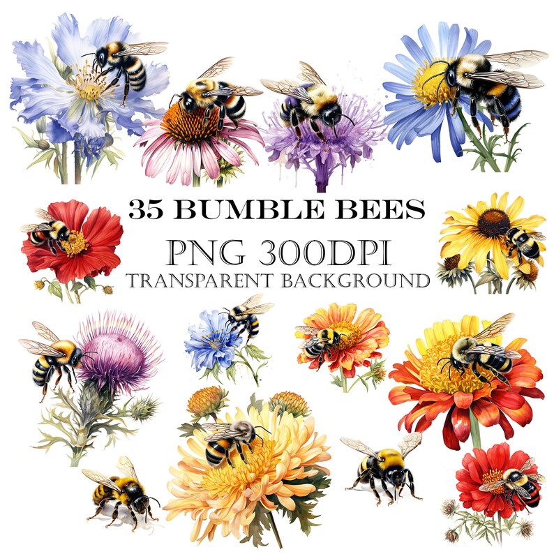 Watercolor Bumble Bee Clipart, Spring Garden Bee Clip Art PNG Graphics ...