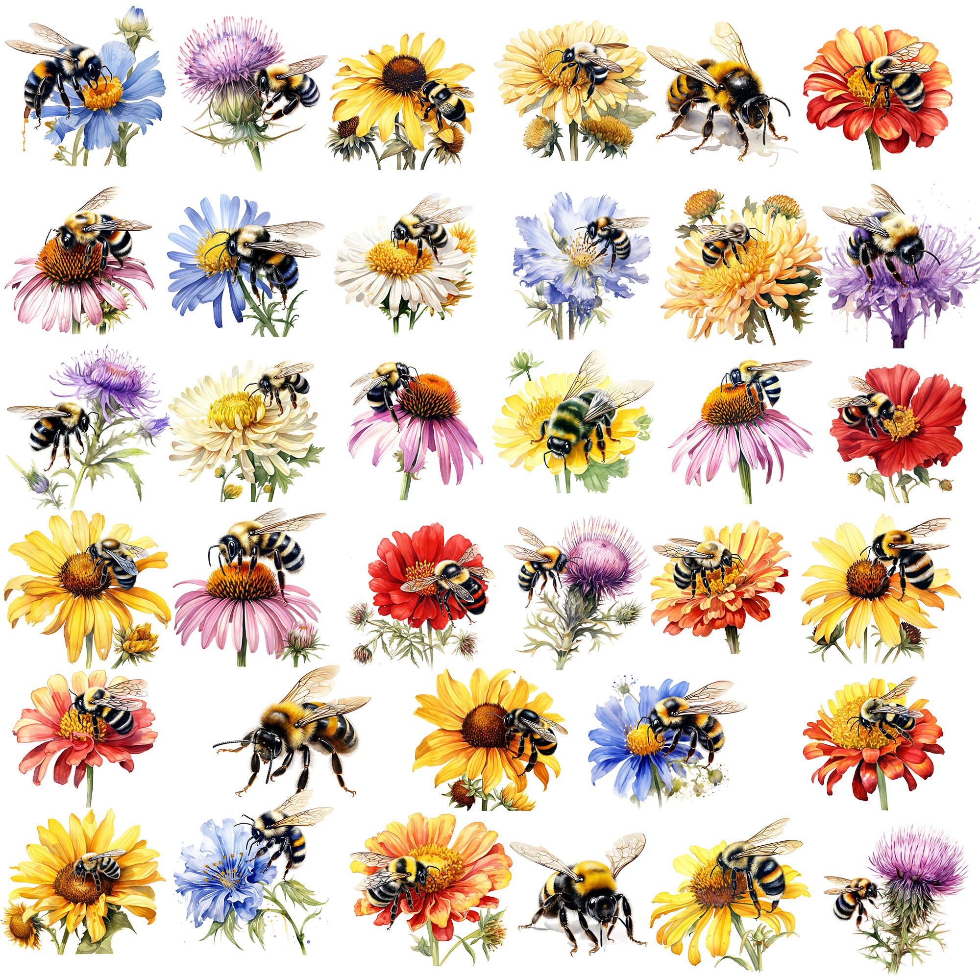 Watercolor Bumble Bee Clipart, Spring Garden Bee Clip Art PNG Graphics ...
