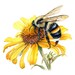 Watercolor Bumble Bee Clipart, Spring Garden Bee Clip Art PNG Graphics ...