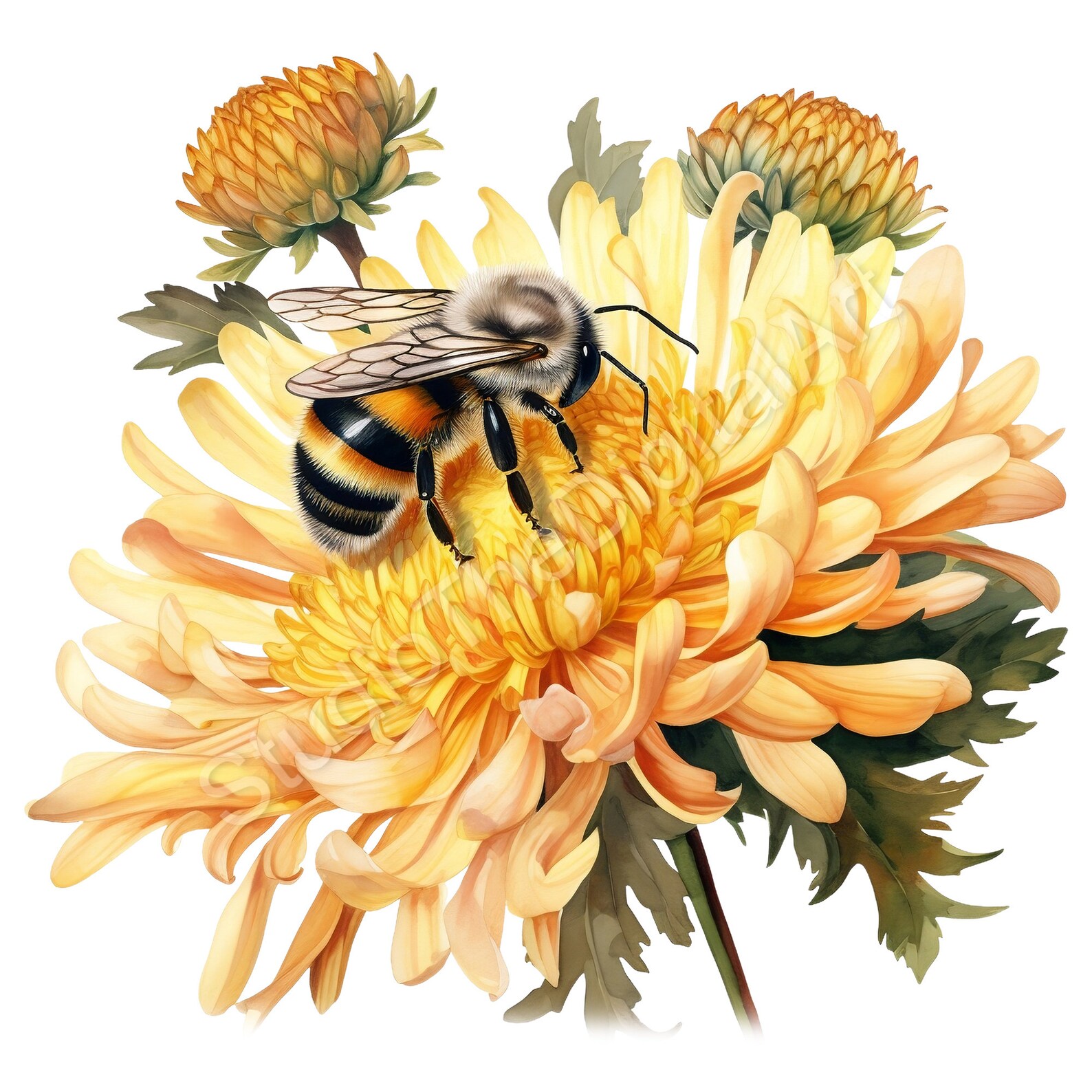 Watercolor Bumble Bee Clipart Spring Garden Bee Clip Art PNG - Etsy