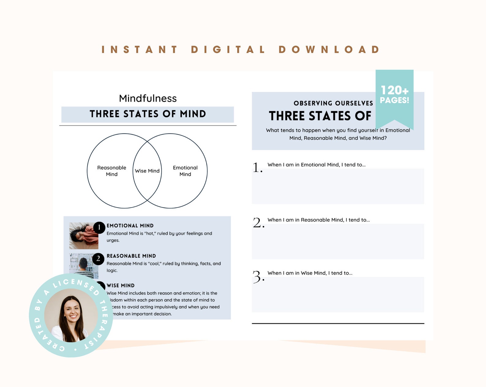 DBT Workbook Journal & Diary, DBT Worksheets, BPD Gift, Interpersonal ...