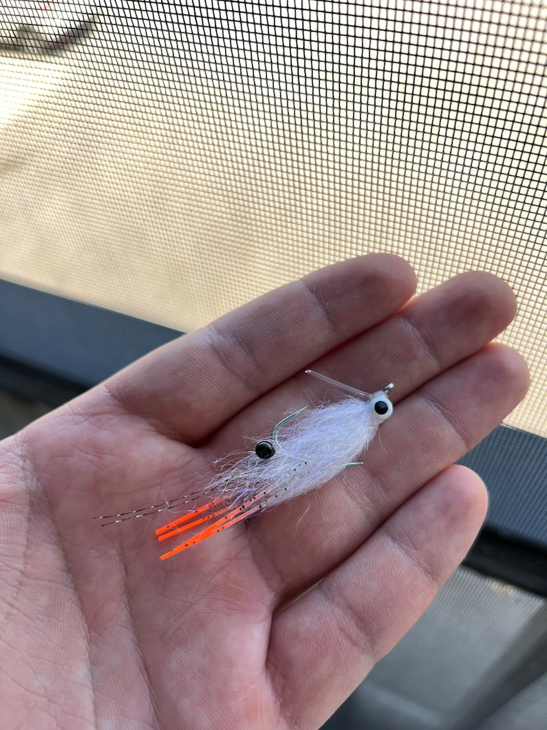 Dub Shrimp White #2 (3 PACK) Balaz Fly Co, Saltwater Shrimp Flies ...