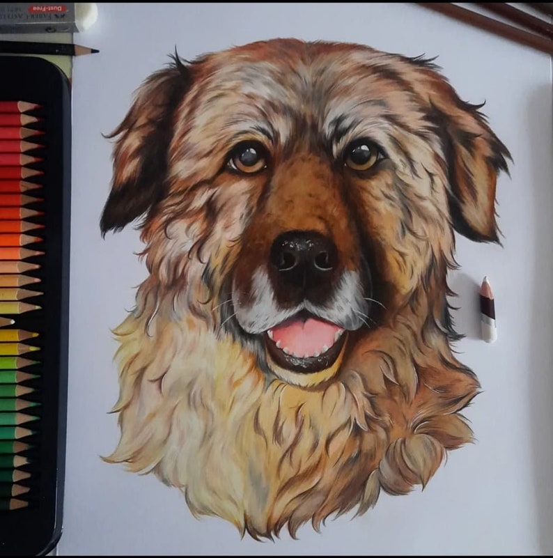 Commissioned Drawing - Etsy