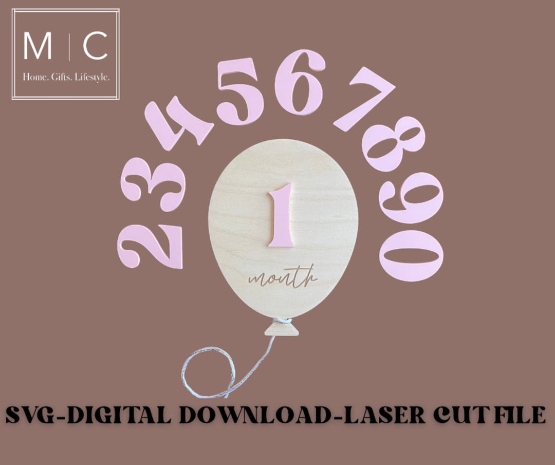 Monthly Milestone Markers, Balloon Monthly Milestone Disk, Balloon ...