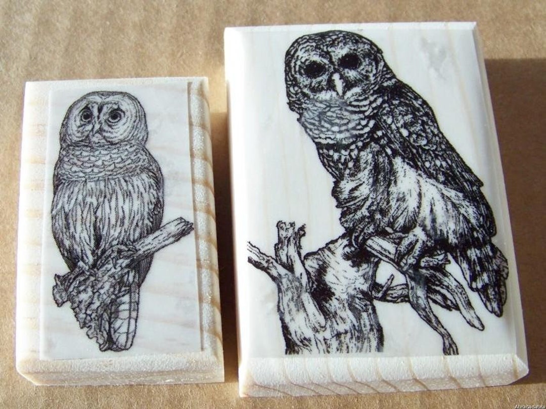 Owl Owls Rubber Stamps 2 Bird Stamps Owl Art Stamp Owl Wood Stamps - Etsy