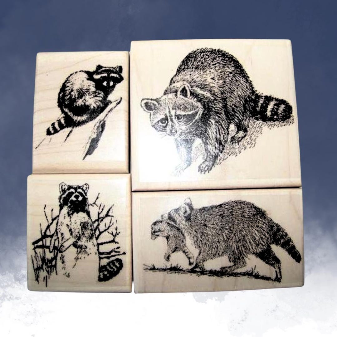 Raccoon Raccoons Rubber Stamps 4 Animal Stamps Raccoon Art Stamp ...